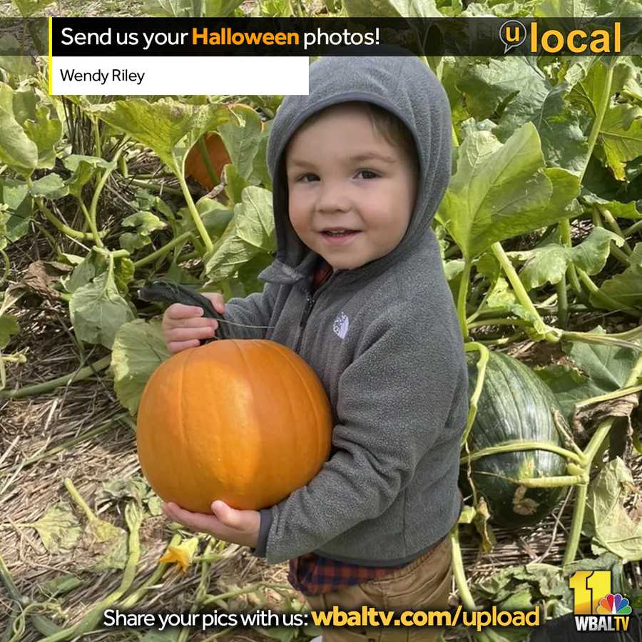 What to do this weekend in Baltimore (Oct. 28-29)