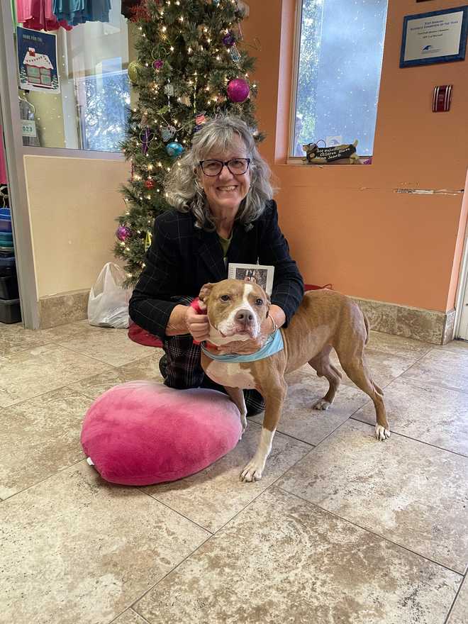 WESH 2 the Rescue thanks community for successful 4 months