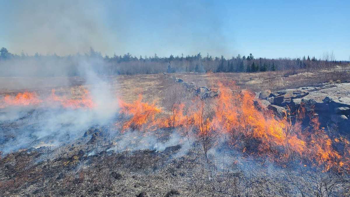 Wildfire season has begun in Maine with several fires reported