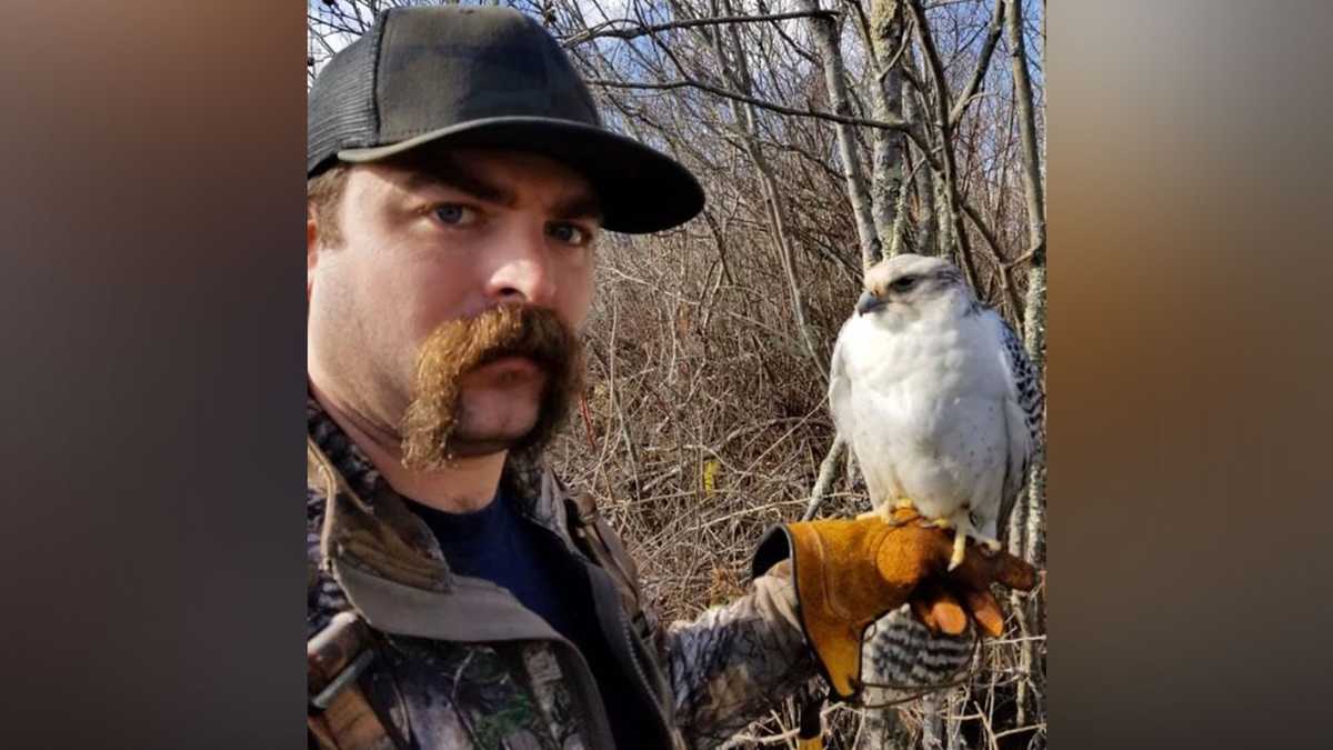 Falcon found! Firefighter tracks down missing $20K bird