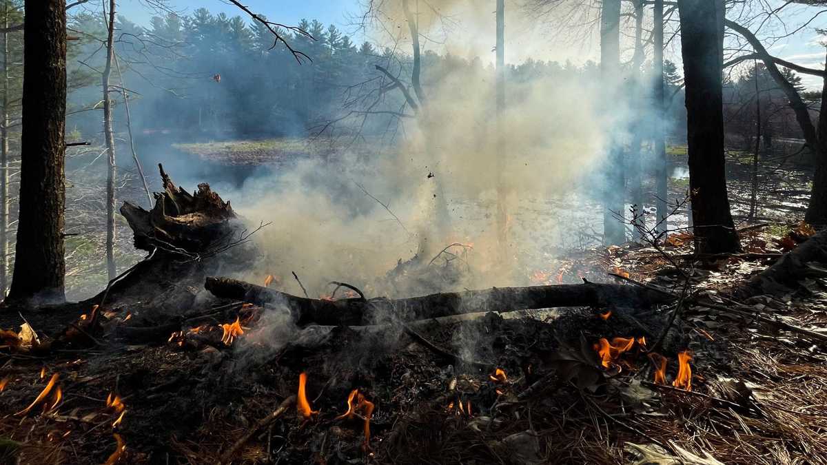 7 brush fires on Mass. conservation land under investigation
