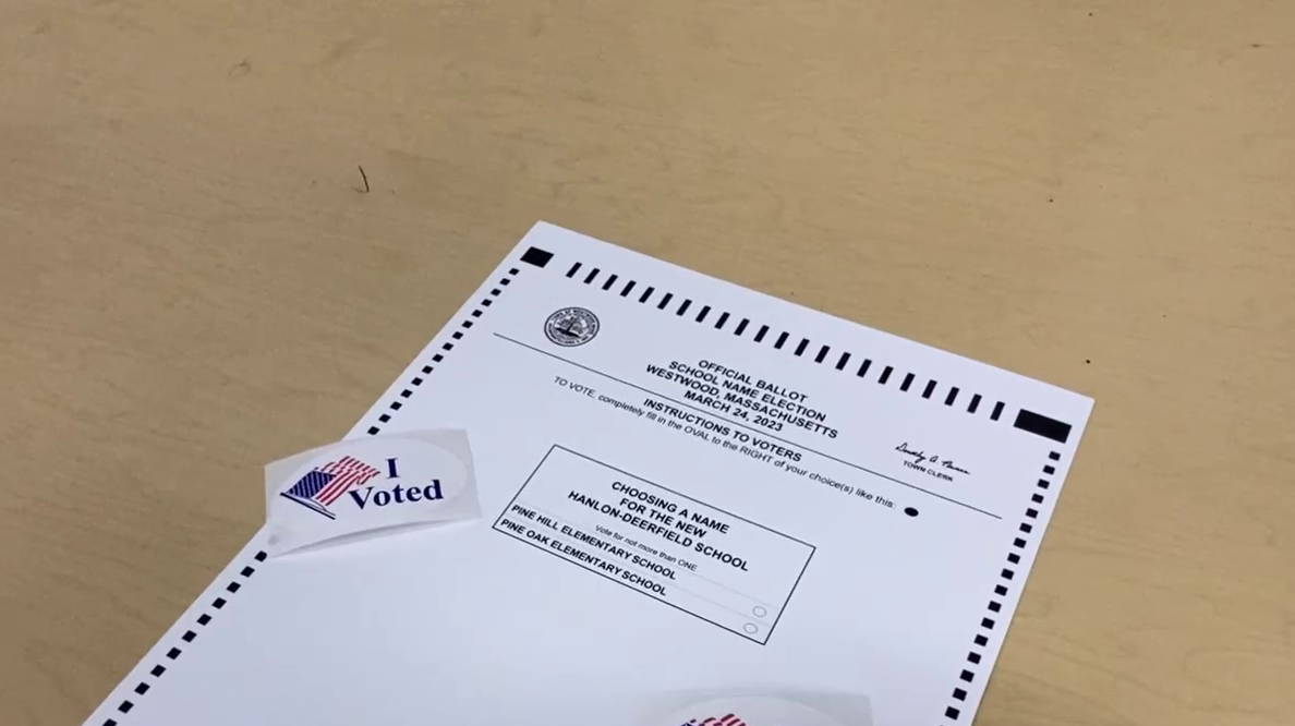 Young students head to polls to name new elementary school