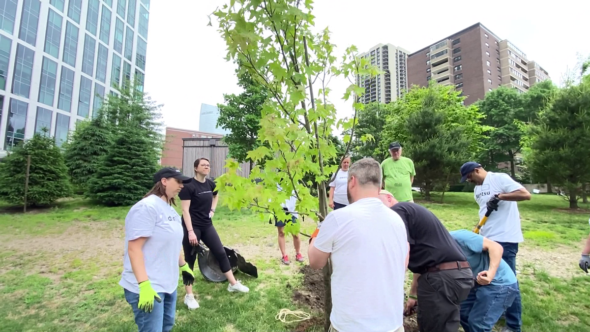 5 for Good: Boston's West End gets green makeover to combat climate ...