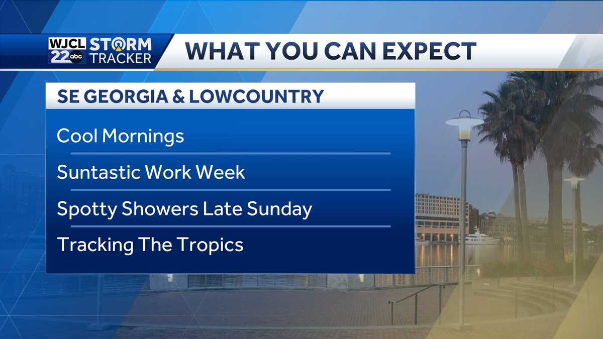 Savannah: Tracking a cooldown