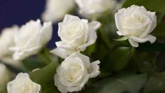 Jimmy Van Eaton, an early rock 'n' roll drummer who played at Sun ...