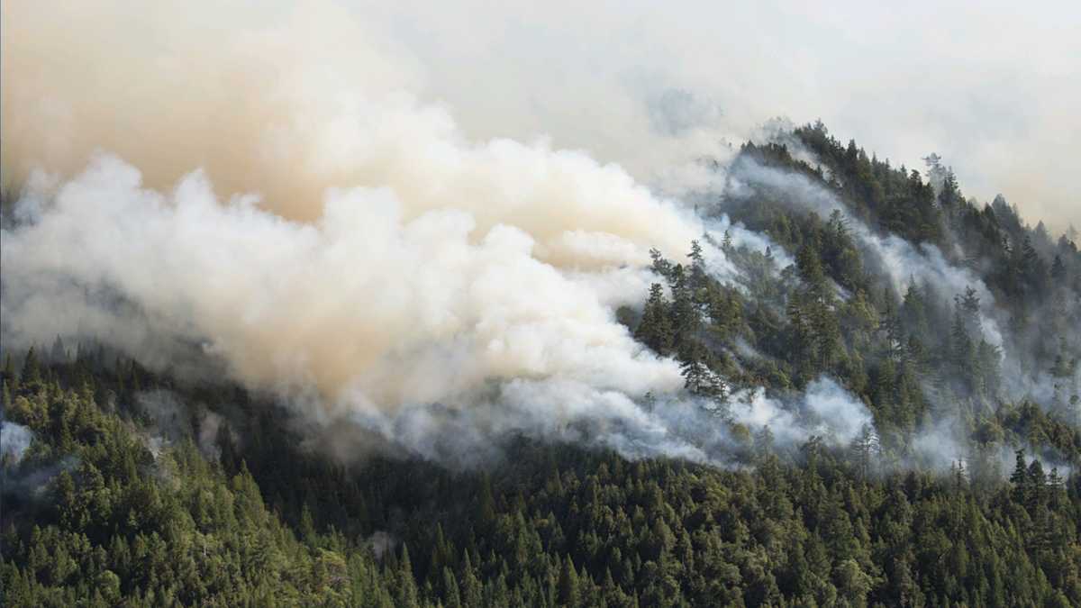 North Carolina: Firefighters battling new wildfire in McDowell County
