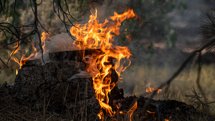 Indiana issues air quality alert due to smoke from wildfires