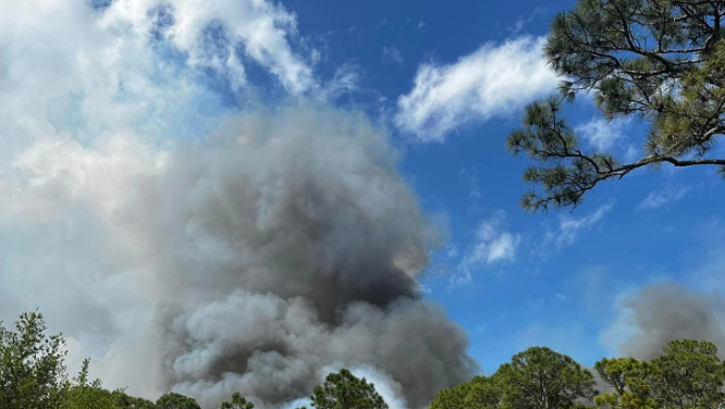 Wildfire in Stuart, Florida now completely contained, South Fork High ...