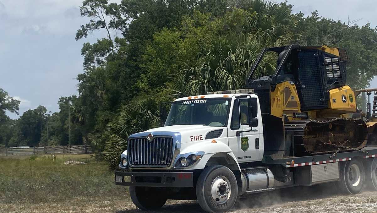 Florida Forest Service monitoring 253-acre wildfire in St. Lucie County