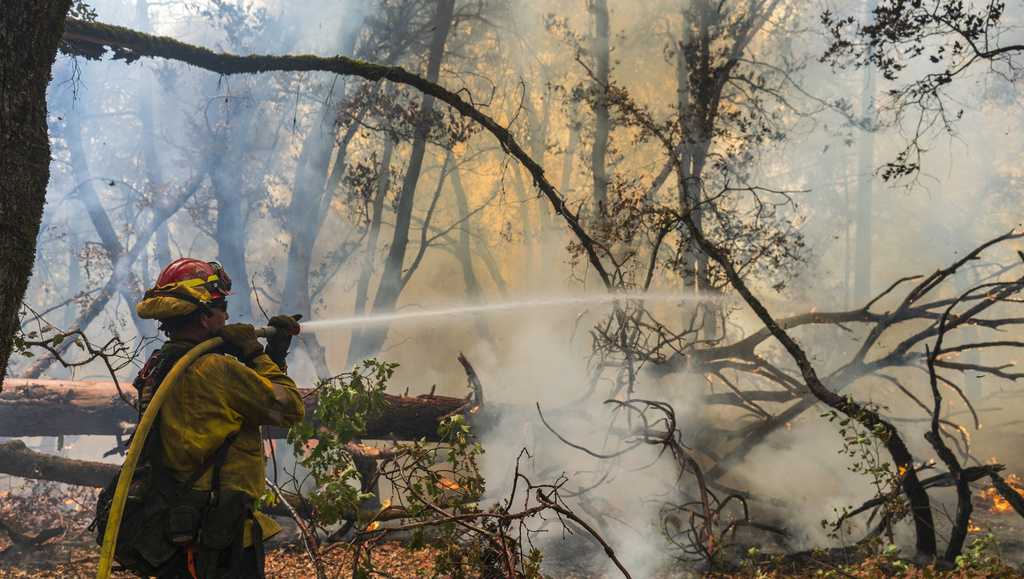 What can be done to control wildfires?
