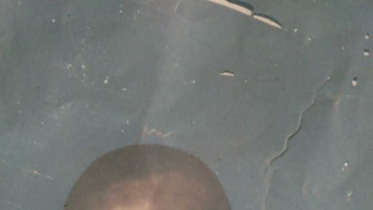 Baker to commute sentences of convicted murderers Koonce, Allen