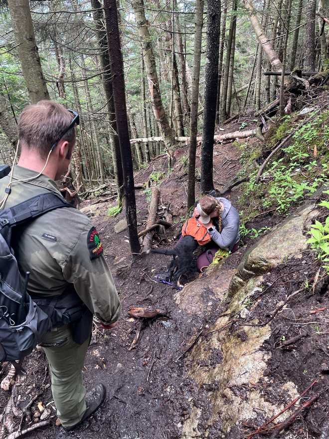 New York DEC Rangers rescue puppy on McKenzie Mountain in North Elba