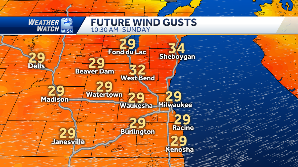 Videocast: Windy Sunday