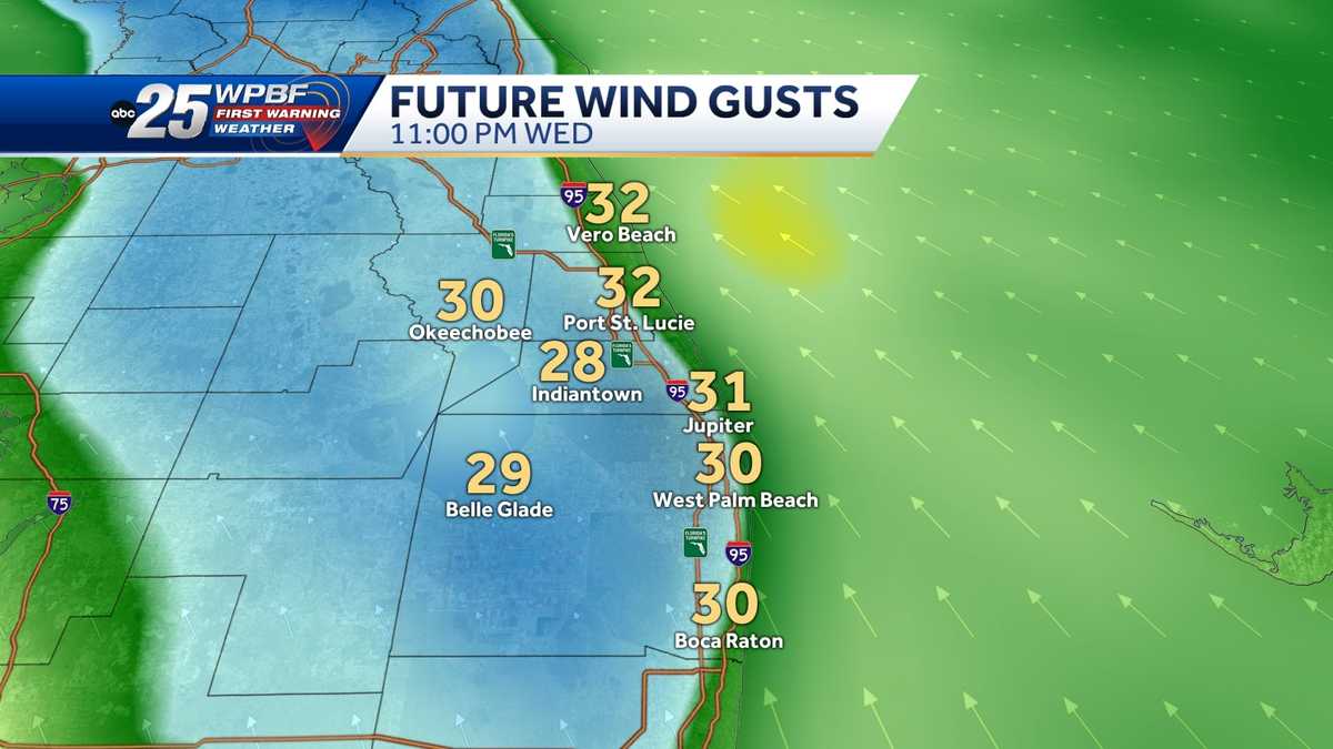Future wind gusts expected from Potential Tropical Cyclone Nine