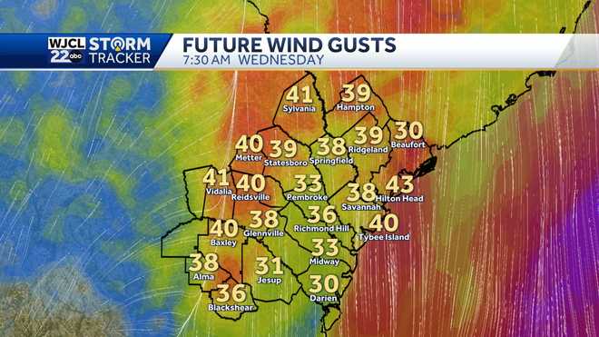 Savannah: Impact Day Wednesday