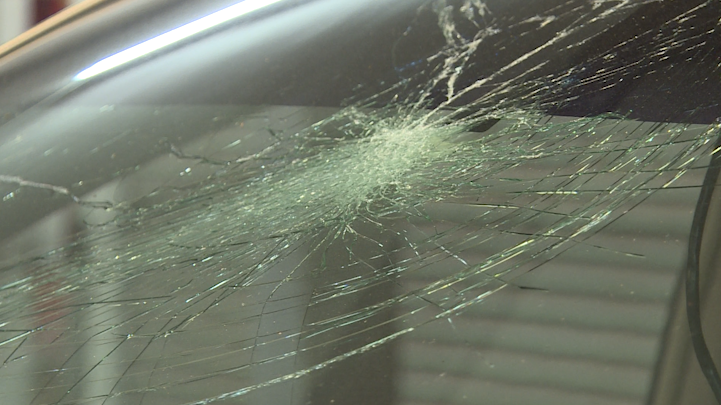 The cost of deer-caused car damage and safety tips