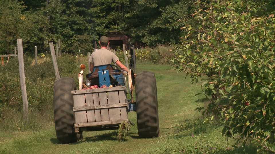 Tuesday, October 3rd: Windy Ridge Orchard