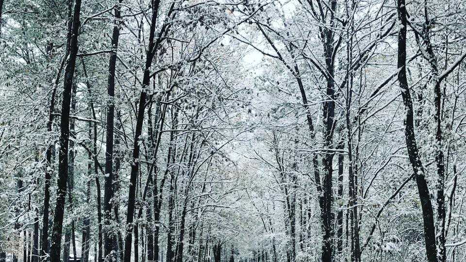 Viewers share pictures of Mississippi winter wonderland