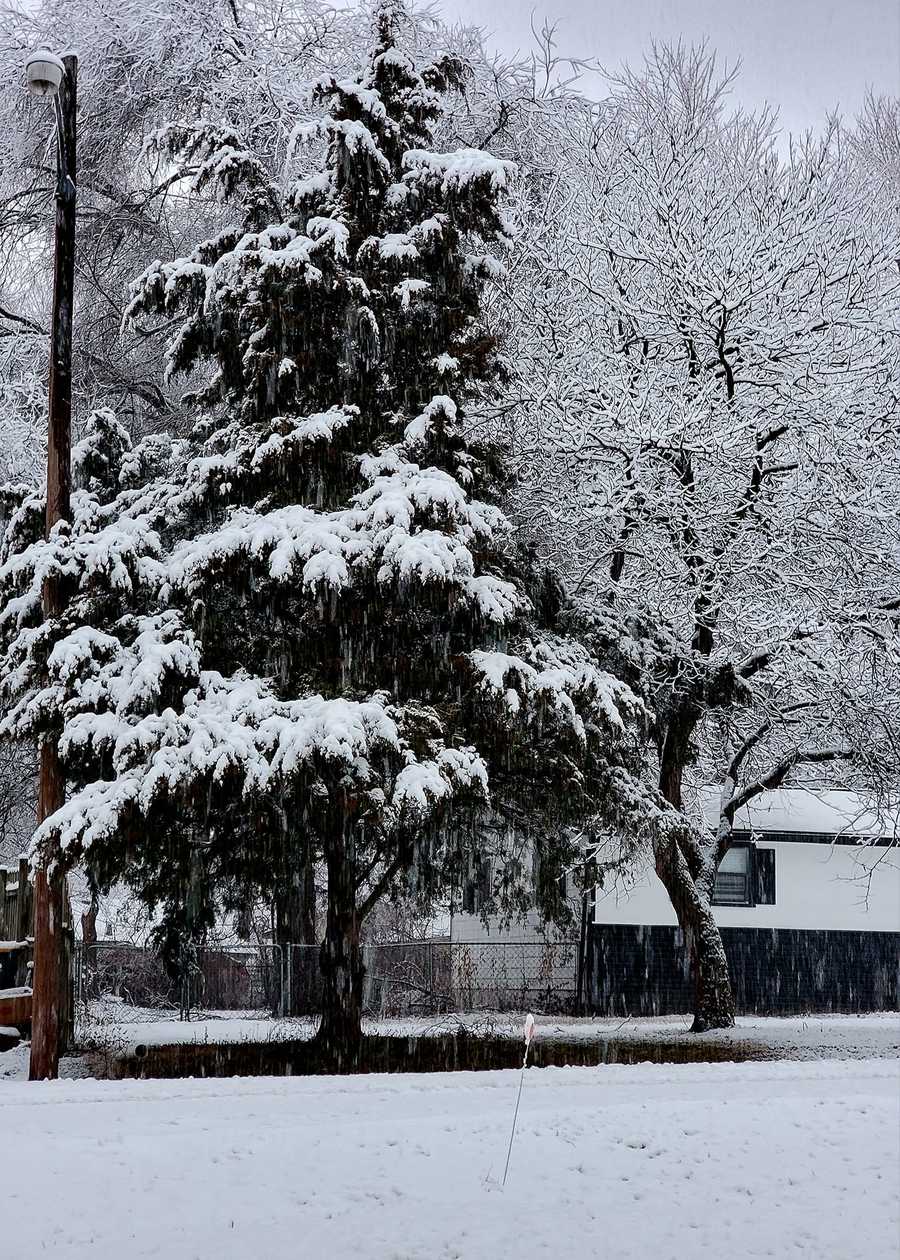 Northwest Arkansas & River Valley snow photos