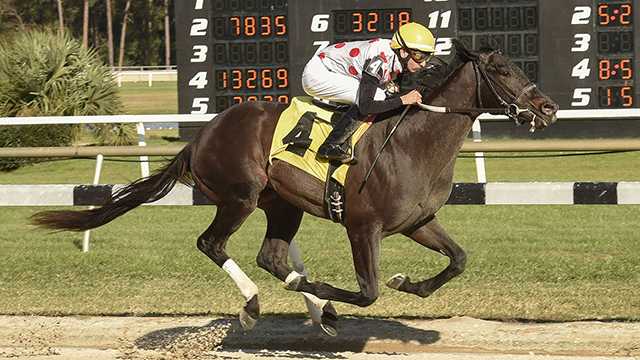 Gallery: 144th Preakness in photos