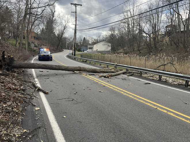 Large tree falls on house in Pittsburgh