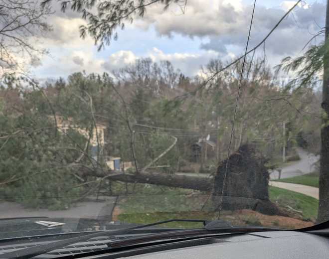 Large tree falls on house in Pittsburgh