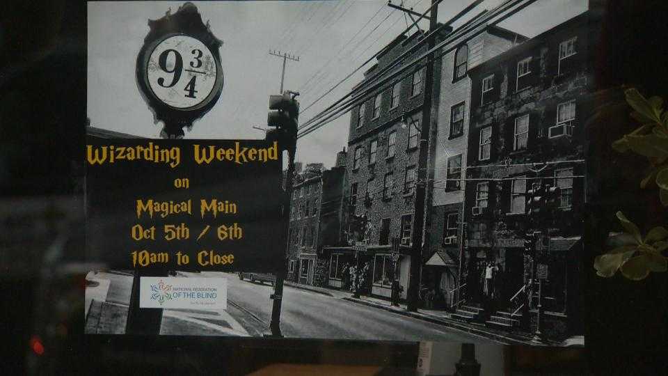 Harry Potter Wizarding Weekend to raise money for the blind