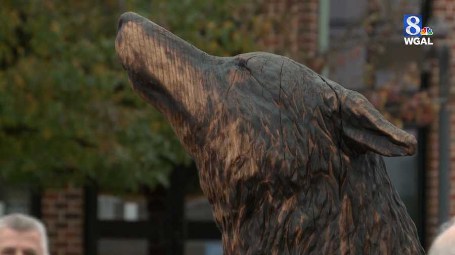 There's a new wolf in town