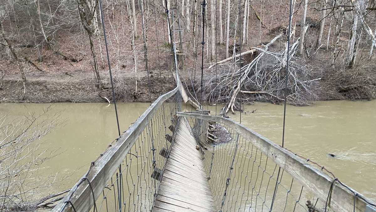 Tree destroys suspension bridge at Red River Gorge