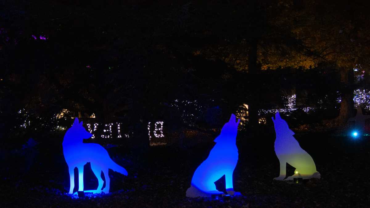 PHOTOS: The Cincinnati Zoo's Festival of Lights returns for its 42nd year