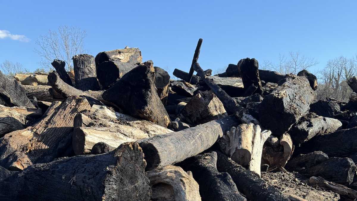 Camp Small gets new beginning after massive fire