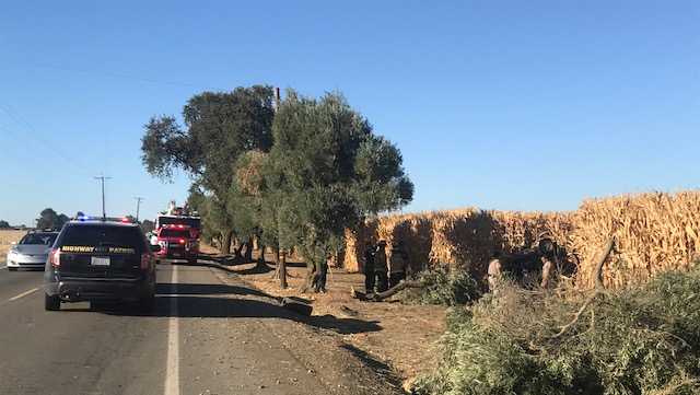 CHP: Driver dies in Yolo County rollover crash