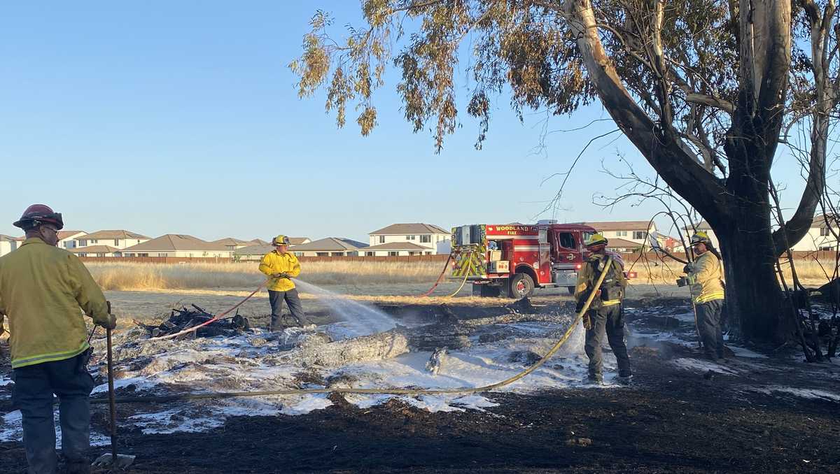 Circumstances of Woodland vegetation fire considered 'suspicious'