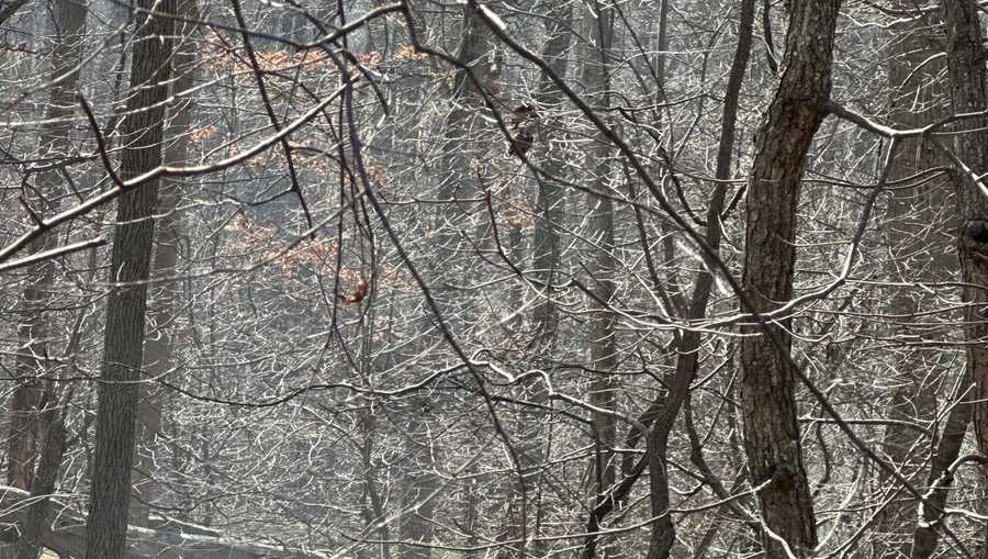 Firefighters tackle 2-acre woods fire in York County, Pa.