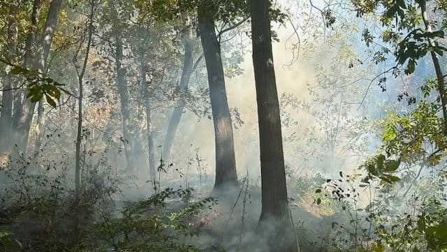 Photos: Fire crews battle large woods fire in Lancaster County, Pa.