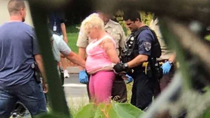 Pursuit involving stolen pickup ends at McDonald's on Shrewsbury Street ...