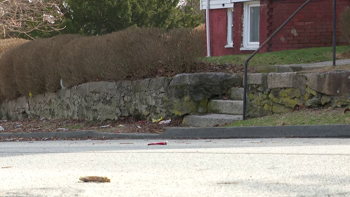 Woman bitten multiple times by fox; Animal sent for rabies testing