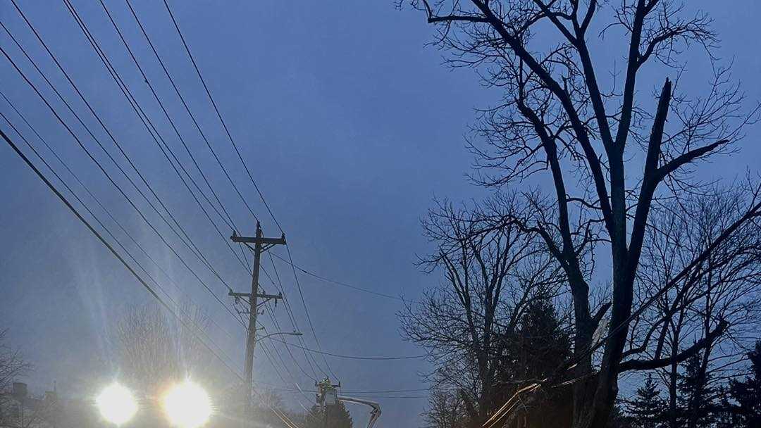 Images: Pre-Christmas storm downs trees, powerlines