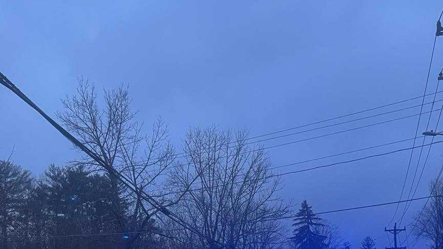 Images: Pre-Christmas storm downs trees, powerlines