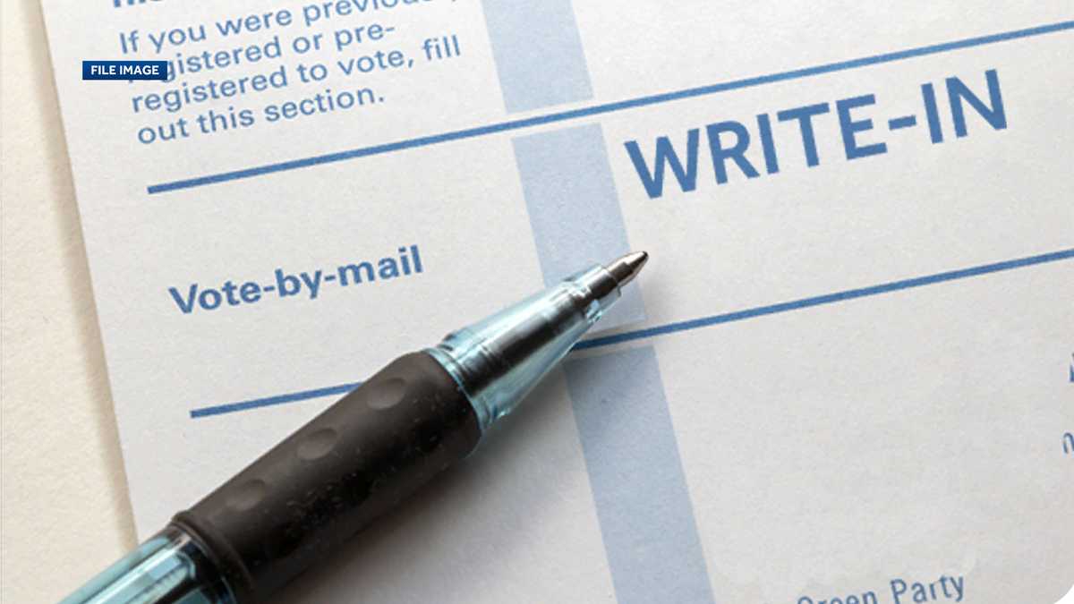 2024 New Hampshire primary write-in results