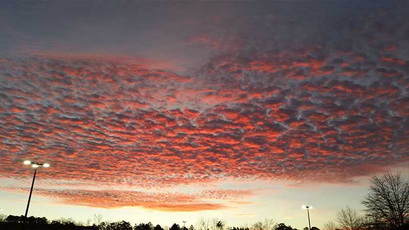 See, share latest weather photos and videos on WVTM's u local