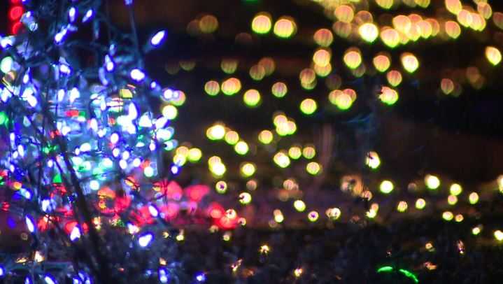 Elaborate Christmas lights display in northwest Albuquerque