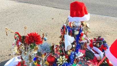 Ohio roadside weed decorated for Christmas sprouts holiday cheer