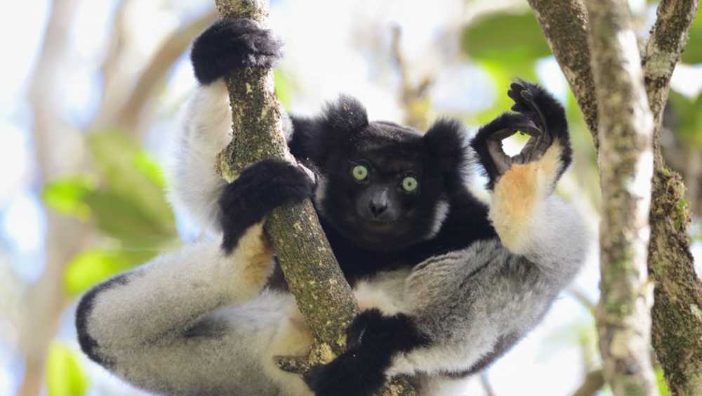 The most hilarious animal photos of the year