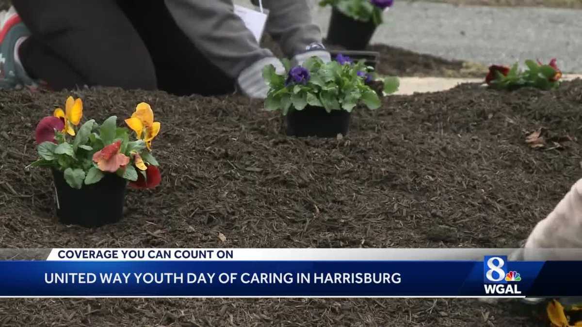 More than 200 students joined the 'Youth Day of Caring'