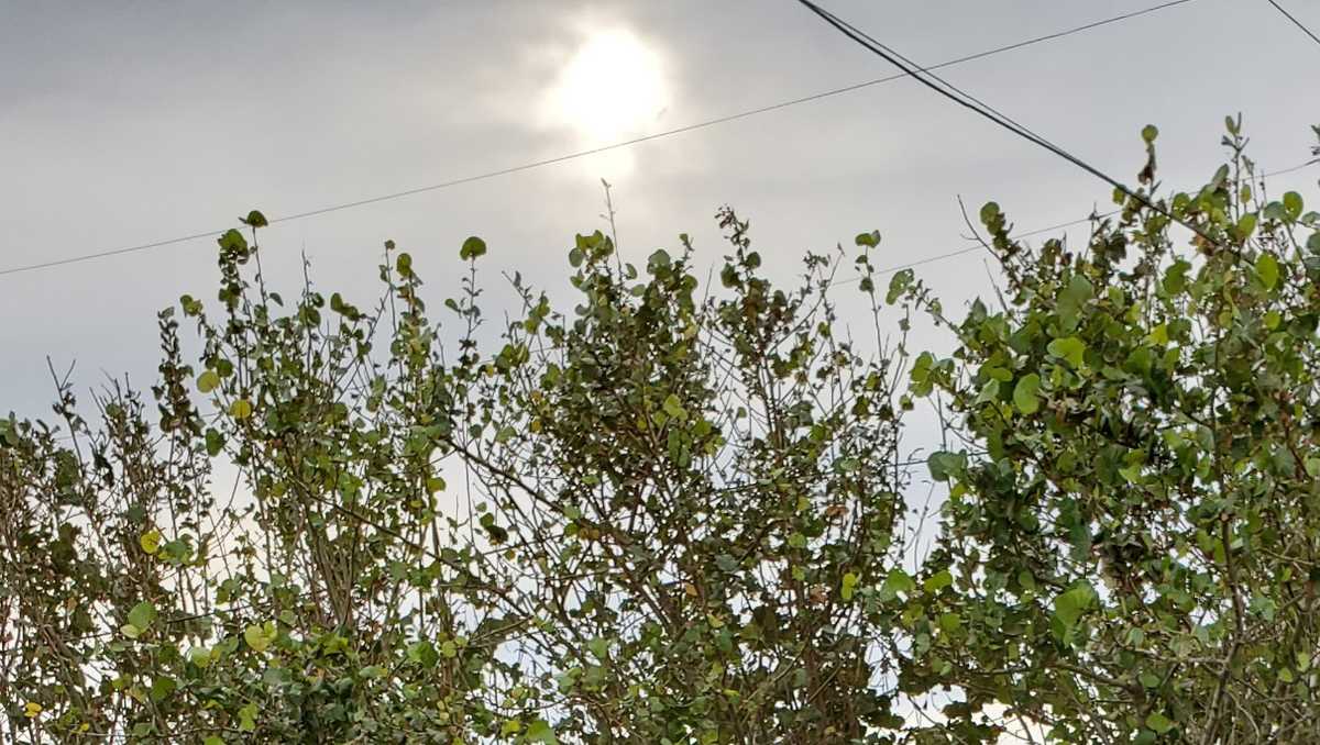 Father of fallen Florida Trooper Zachary Fink responds to lawsuit by ...