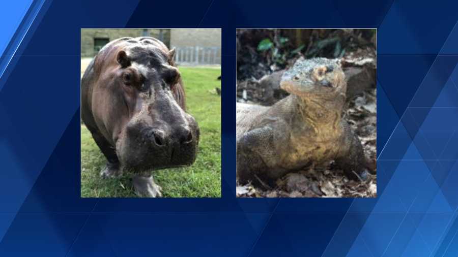 Birmingham Zoo mourns the loss of two animals