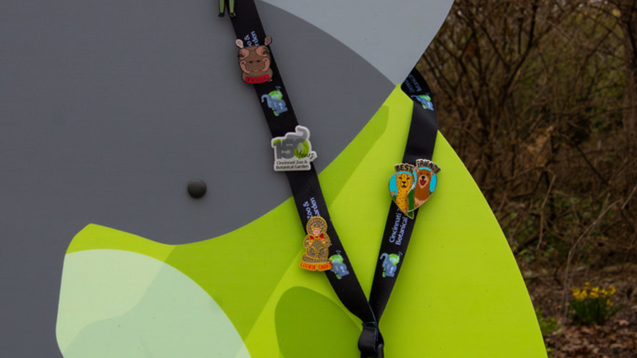 Cincinnati Zoo debuts new pin-trading program to celebrate sesquicentennial