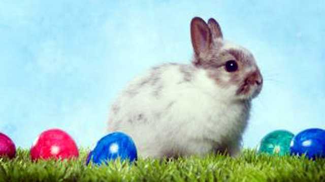 How families can celebrate Easter -- social distancing style