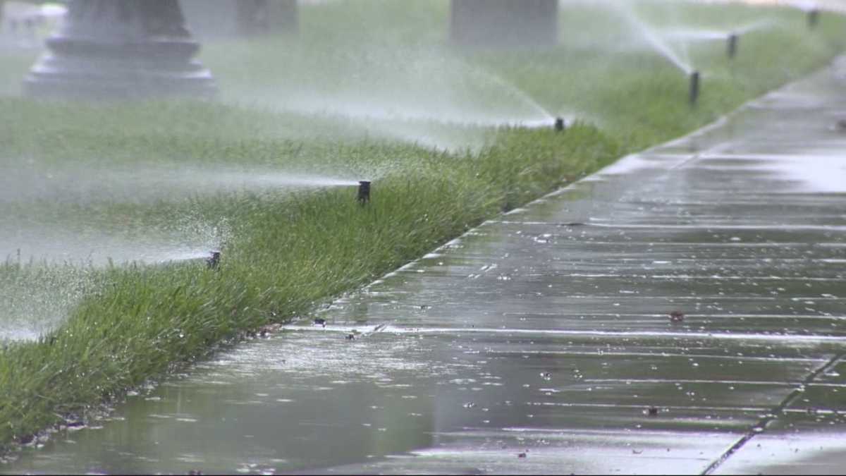 Water misuse complaints on the rise in Sacramento